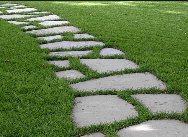 点击查看图片来源