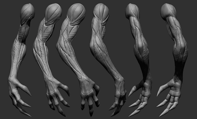 Creature arms-花瓣网