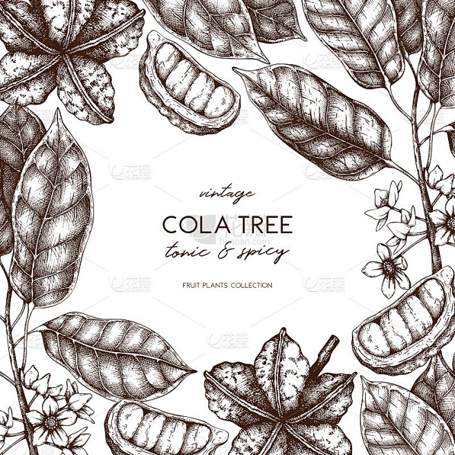 cola_tree_design_2