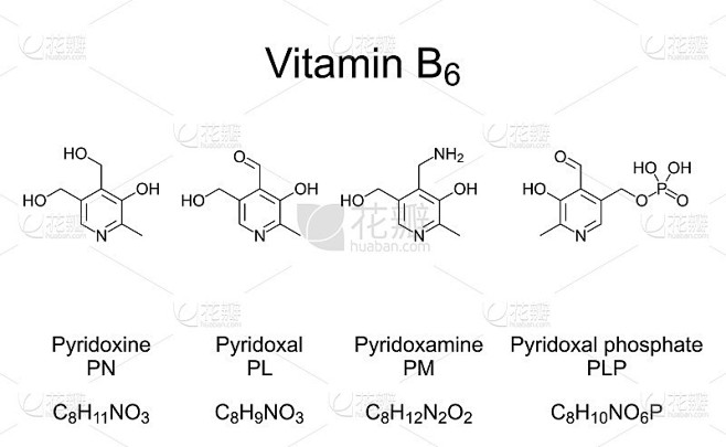 维生素B6，维生素，化学配方和结构