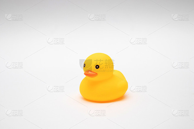 白色背景上的黄色橡皮鸭