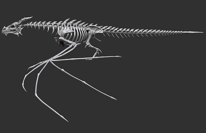 Bone Dragon-花瓣网