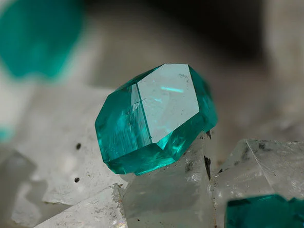 kuangshi (3035)-花瓣网