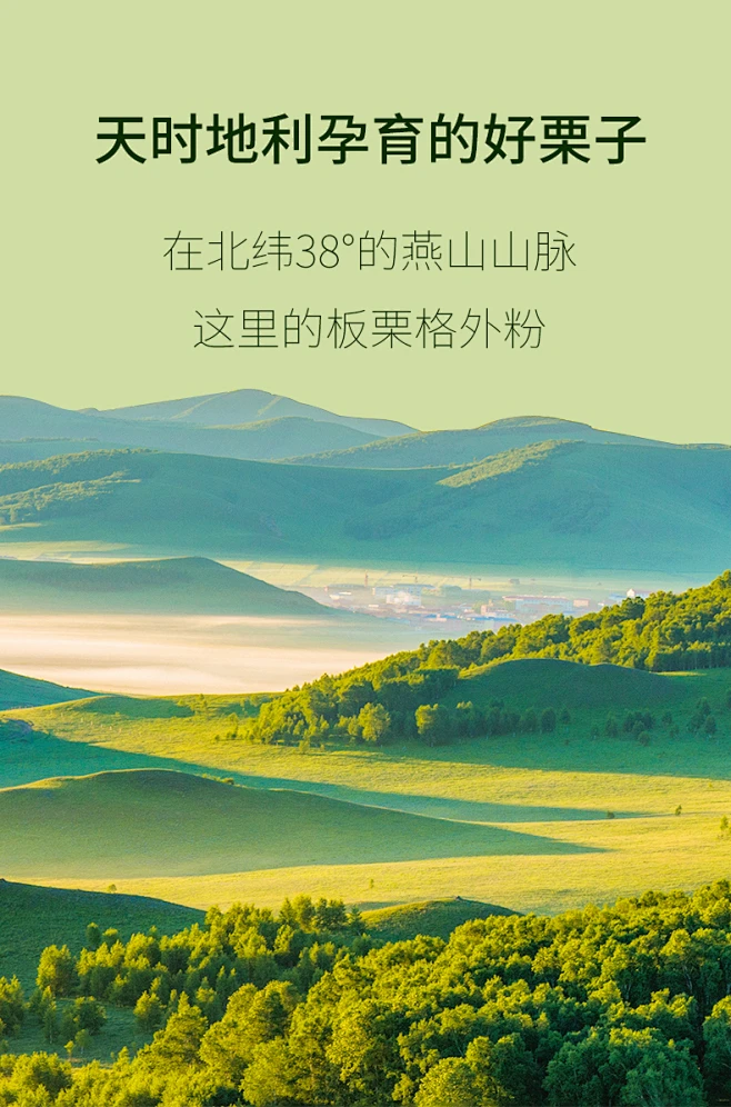 百草味板栗仁80gx2袋坚果零食熟制去壳甘栗仁即食干果栗子新鲜-tmall.com天猫-花瓣网