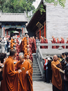 XXXJ-花瓣网|陪你做生活的设计师 | 为了这组照片，特意飞了一趟新疆伊犁