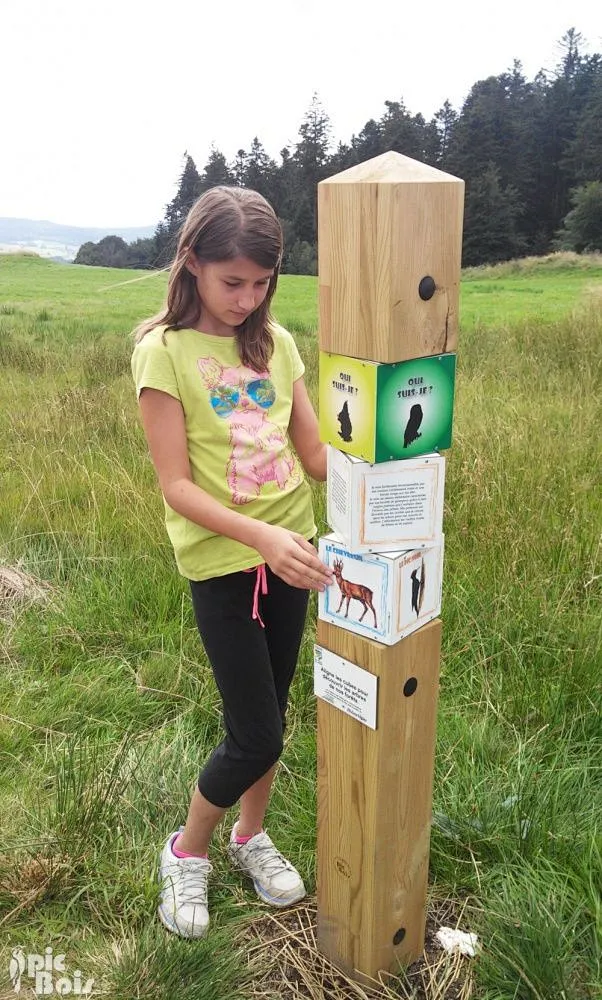 @whitepinejc Pinterest pin • Pinvibe.com : Pinterest pin added by ...