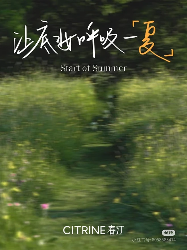 Camera_XHS_17429640104921040g2sg31284pbp452005od71cb41tjt5ias748-花瓣网