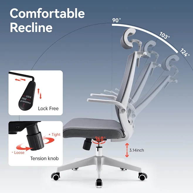 Amazon.com: SIHOO M76A Office Chair, Ergonomic High-Back Desk Chair ...