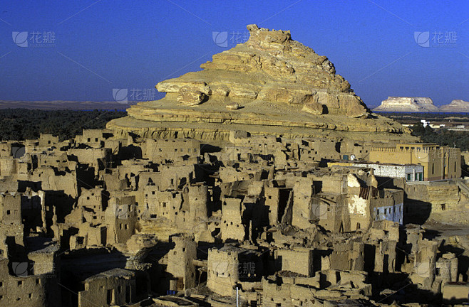 非洲埃及撒哈拉西瓦绿洲