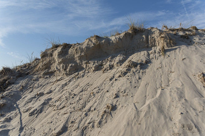 Coastal Dunes (34)