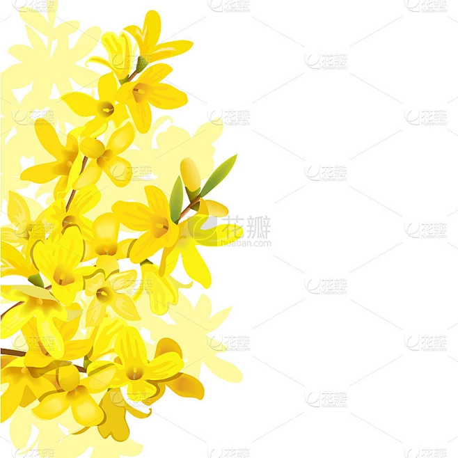 Fluffy blossoming yellow spring tree template. For素材-花瓣网