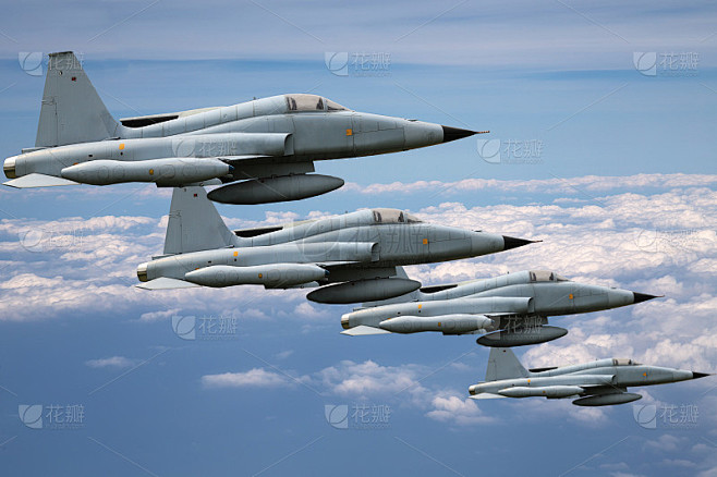 战斗机F-5A自由斗士全速飞行