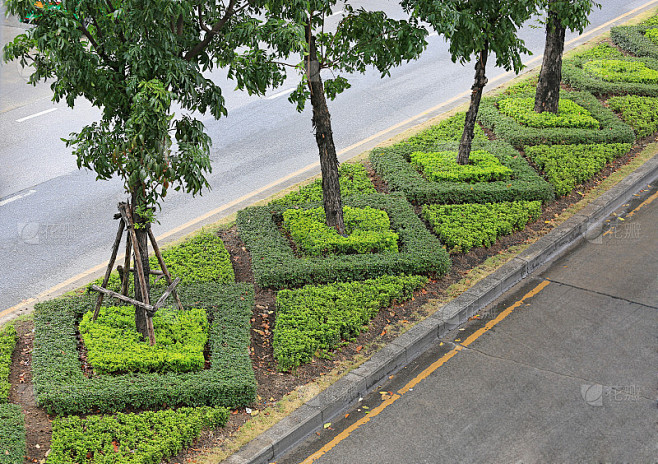 美丽的绿树成荫的装饰道路在城市交通岛。