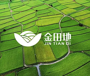 龙博品牌设计-金田地LOGO-花瓣网