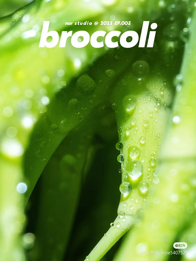 Camera_XHS_16736178600031000g0081rpk19uif800g40p0-花瓣网