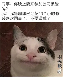 meme（梗图）图片大全-meme（梗图）高清好看的图片--花瓣超级无敌窝窝头的画板