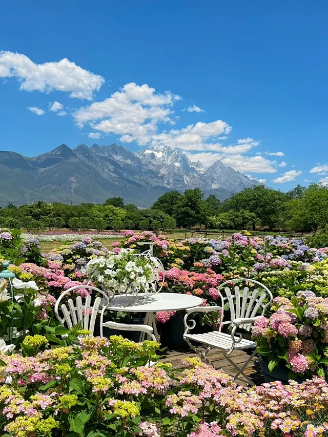 丽江听花谷 - 小红书搜索-花瓣网