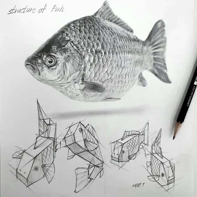 This South Korean Artist’s Structural Drawings Will Help You Improve ...