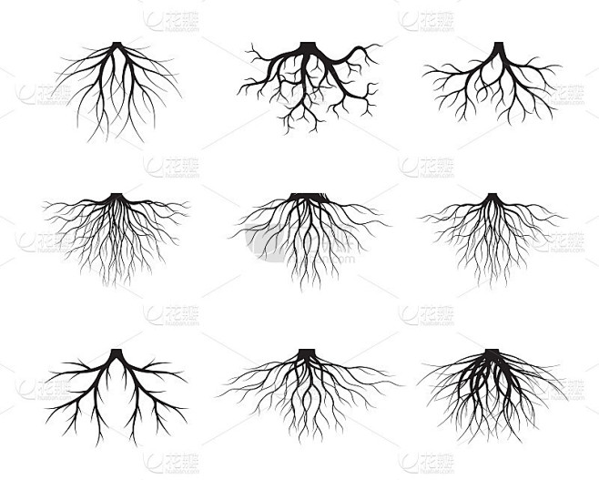 一组黑树根。矢量插图轮廓。植物和花园。