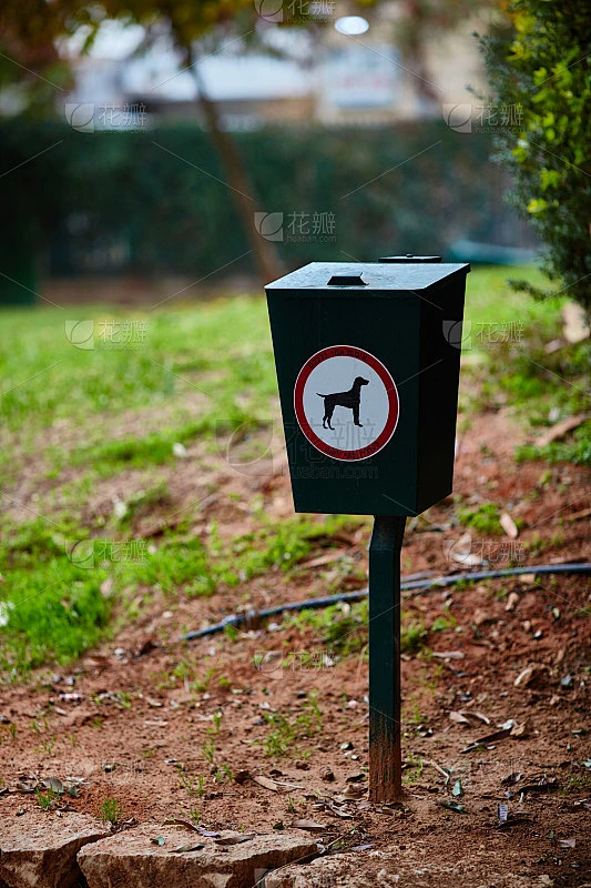 Ariel - 2017年1月3日:处理以色列Ariel的狗的需要素材-花瓣网