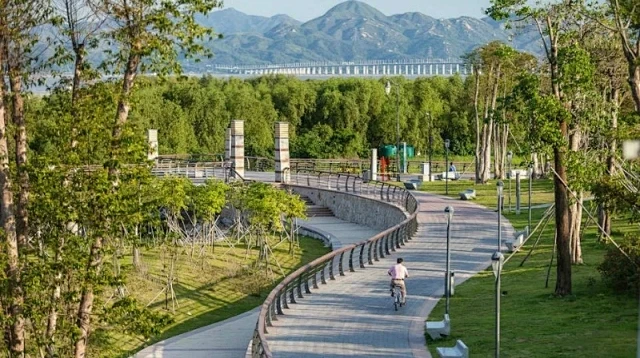 psb.webp (1).jpg-花瓣网