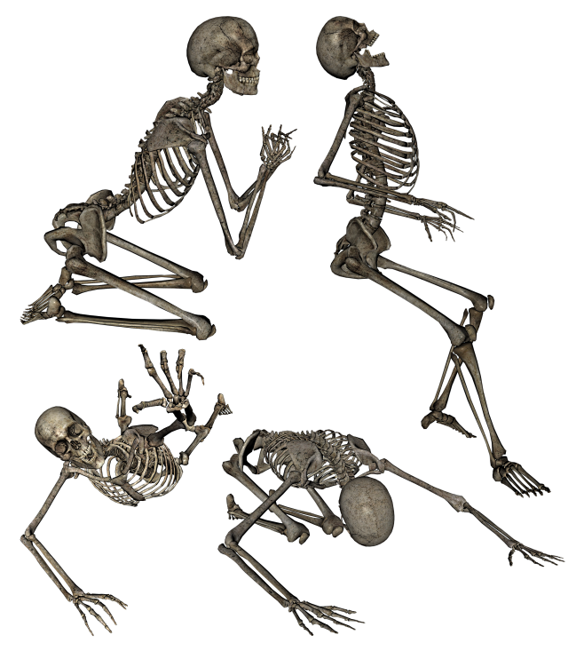 skeleton-3377956