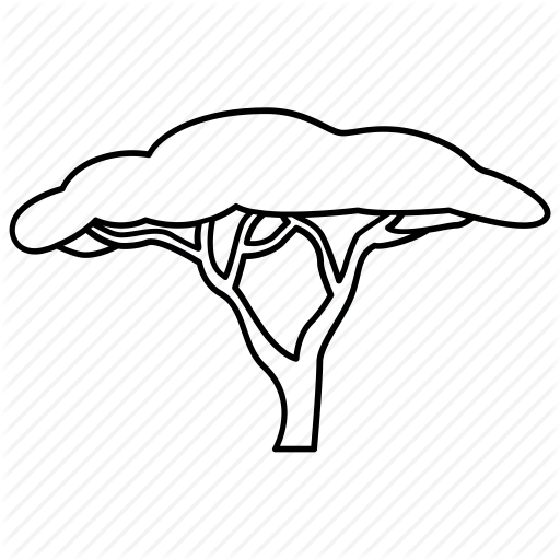 Acacia Tree Coloring Page-花瓣网