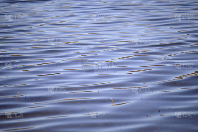 平静的水面图像