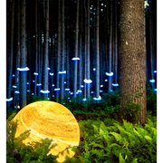 Wonderbuggy婴儿儿童餐盘分格宝宝分隔吸盘碗硅胶卡通防摔辅食碗-tmall.com天猫