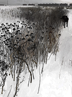 bjjjjj背景-花瓣网|陪你做生活的设计师 | rnov : Wasteland by Andrey Surnov on ArtStation.