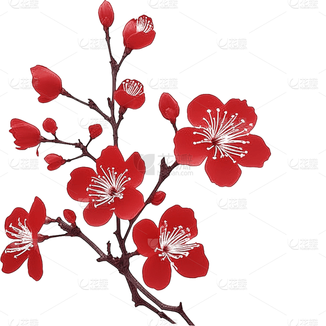 扁平红色梅花花朵