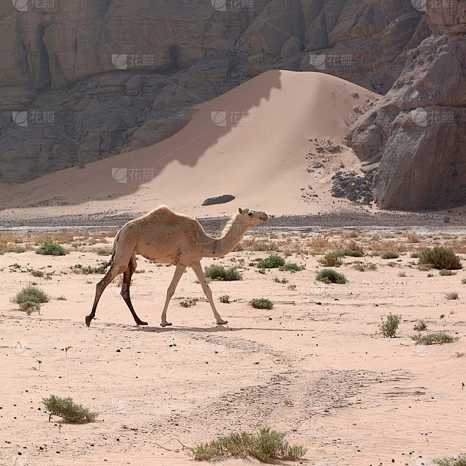 Ubari沙漠,利比亚