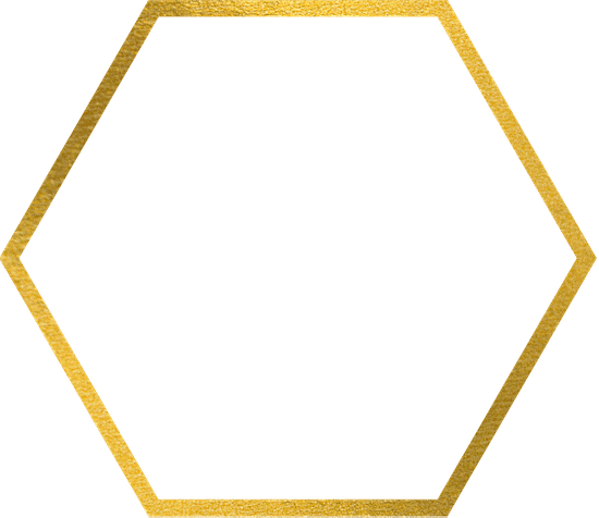 Gold Hexagon Border