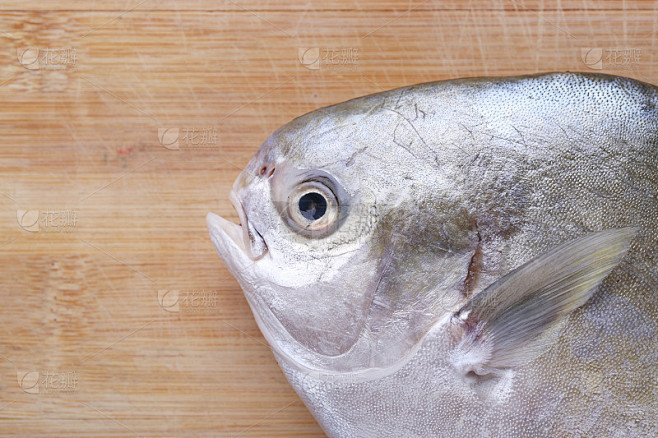 Fresh pompano on the white background.