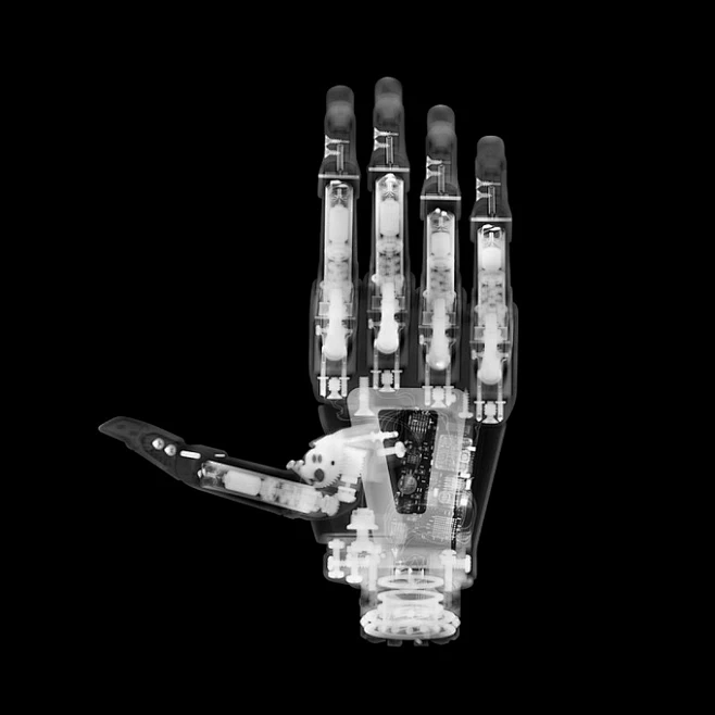 摄影师David Arky作品--X光下的世界-花瓣网