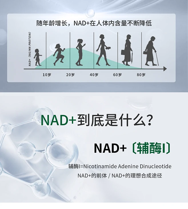 FOYOO美国进口增强型NMN13800烟酰胺单核苷酸NAD+抗修复基因衰老-tmall.hk天猫国际-花瓣网