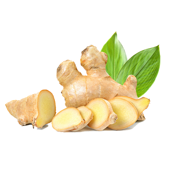 ginger.png (683×683)