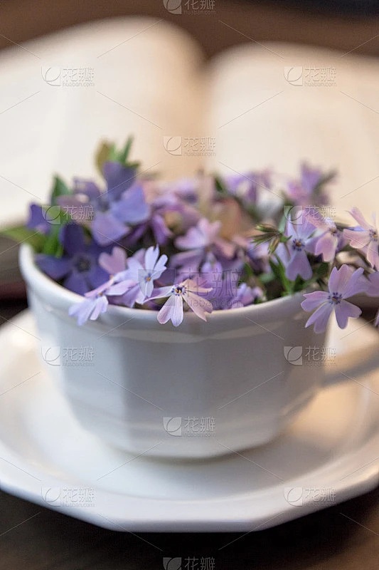 茶杯里的紫花和书素材-花瓣网