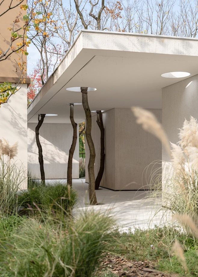 未确认 536755-花瓣网