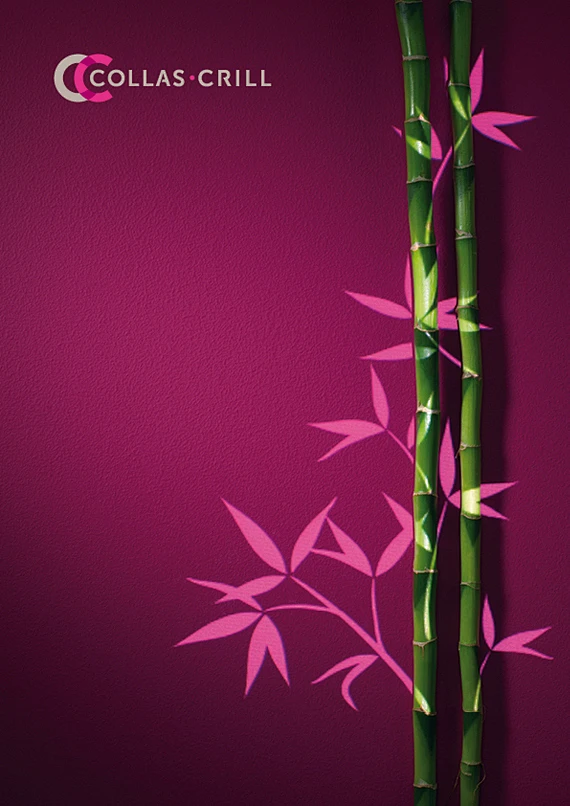 Collas Crill 2012 Shoot on Behance-花瓣网