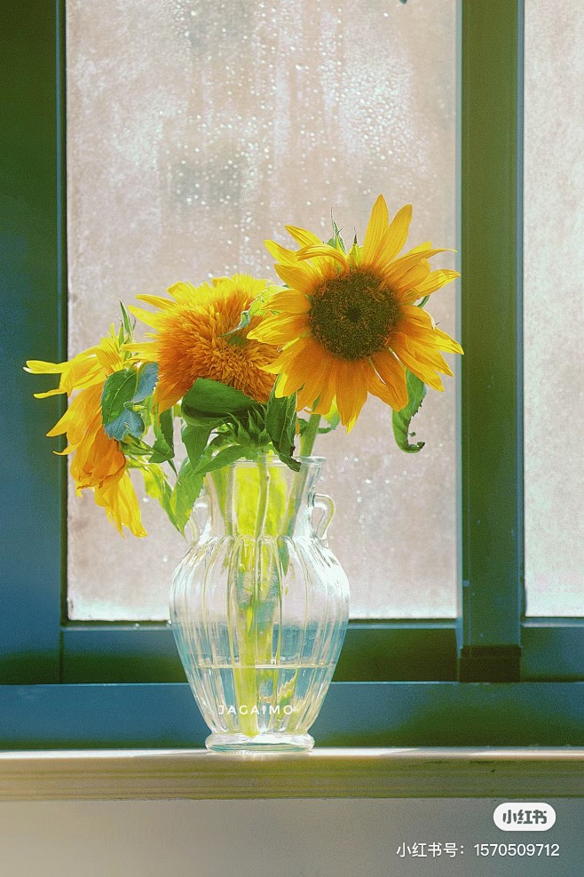 4D16FD85-DEA1-47FC-8BF8-47171FBEB598