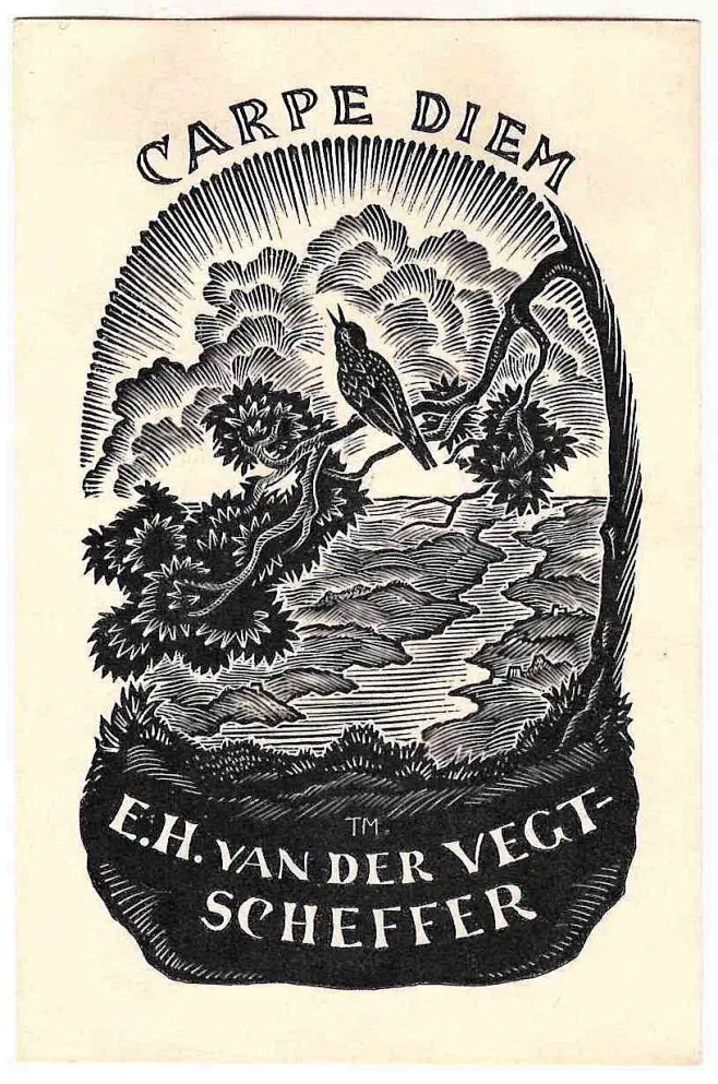 (477) Pinterest-花瓣网