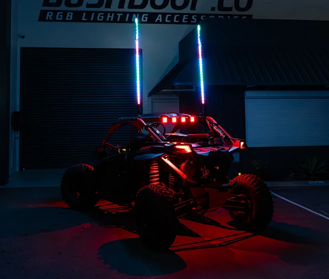 DSC02487-Enhanced-NR-2_2-花瓣网