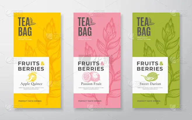 Exotic Fruits Tea Labels Set. Vector Packaging Des-花瓣网