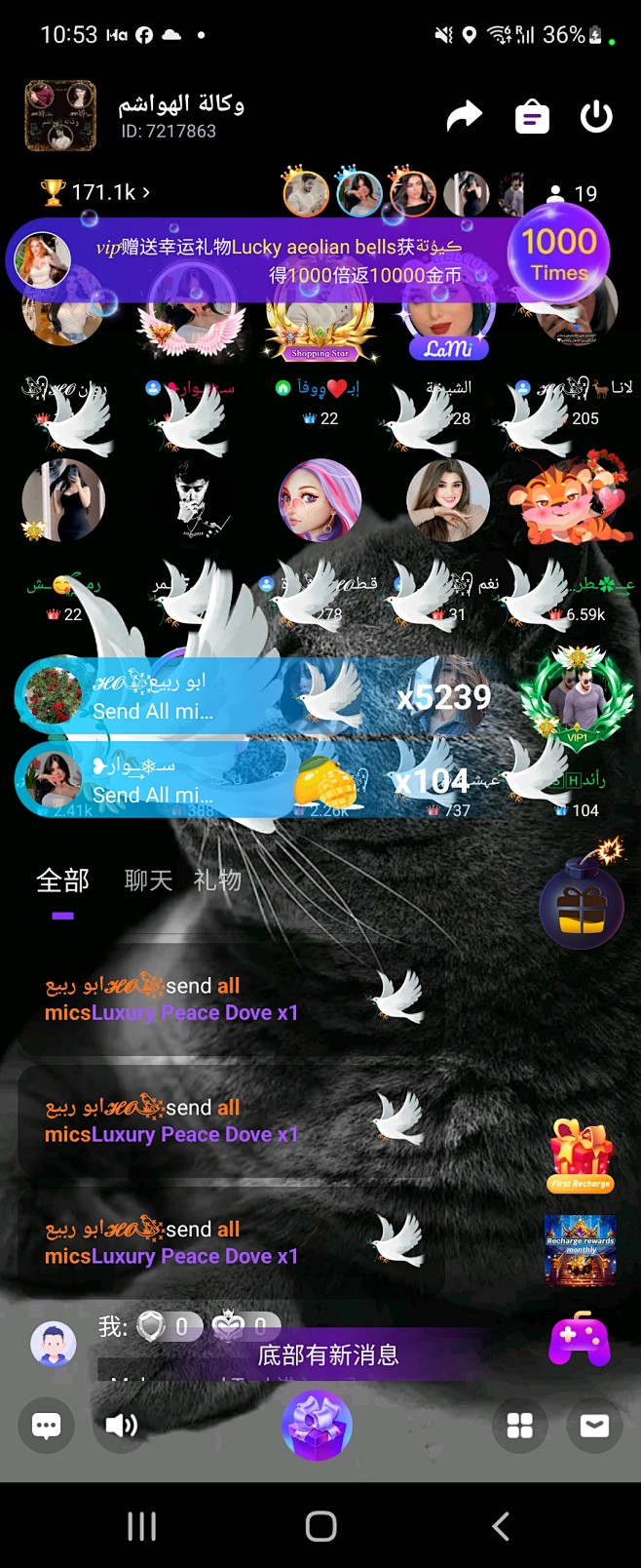 Screenshot_20231106-225326_Lami