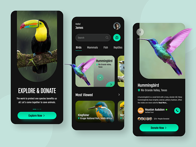 animals app design birds charity