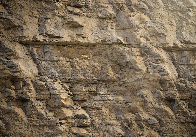 Limestone Cliff Side-花瓣网