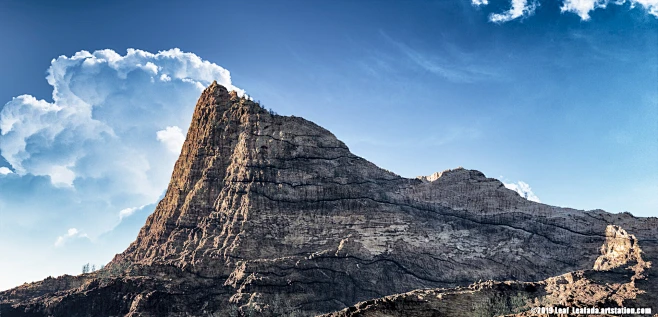 Peak（2019）, Leaf Ada-花瓣网