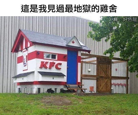 兄弟们来点蚌图_吊图吧_百度贴吧