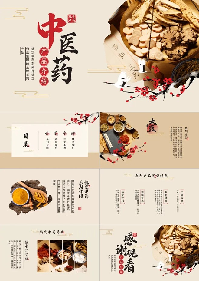 中医药医疗保健产品介绍PPT